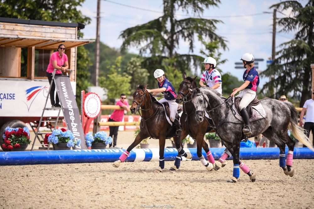 Cheval, équitation et sports équestres : France Horse Ball photos
